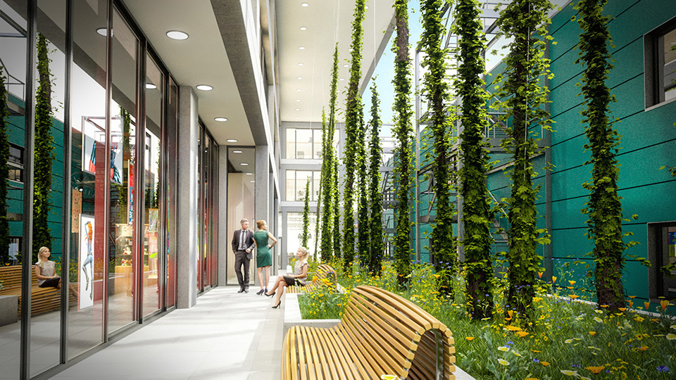 Grow - Real Estate Marketing by CDMN